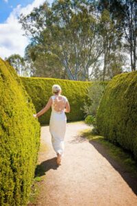 Gallery – Mintaro Maze