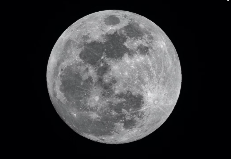 Full Moon Markets – Mintaro Maze